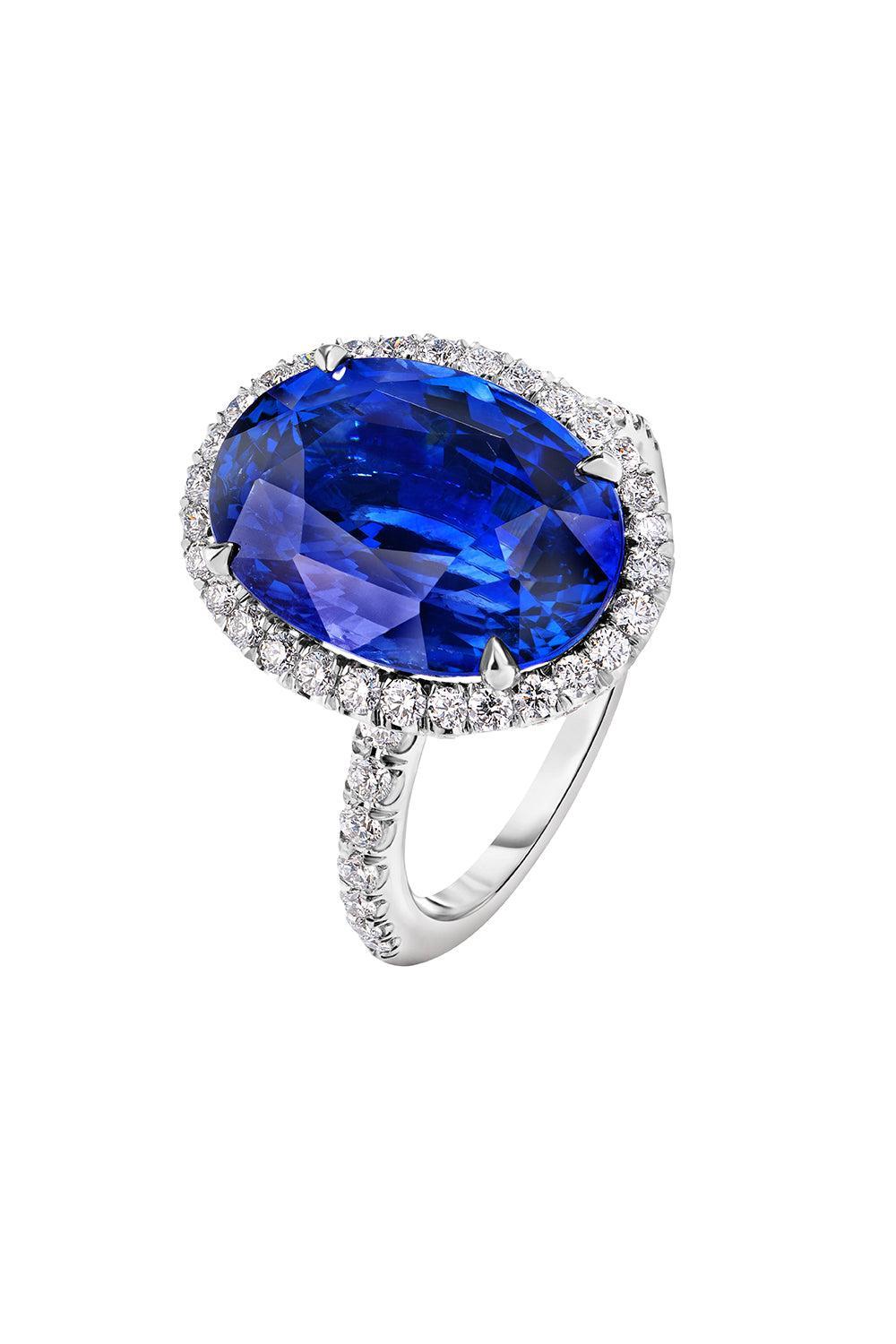 Sapphire Gemset Ring | CICADA – Marissa Collections