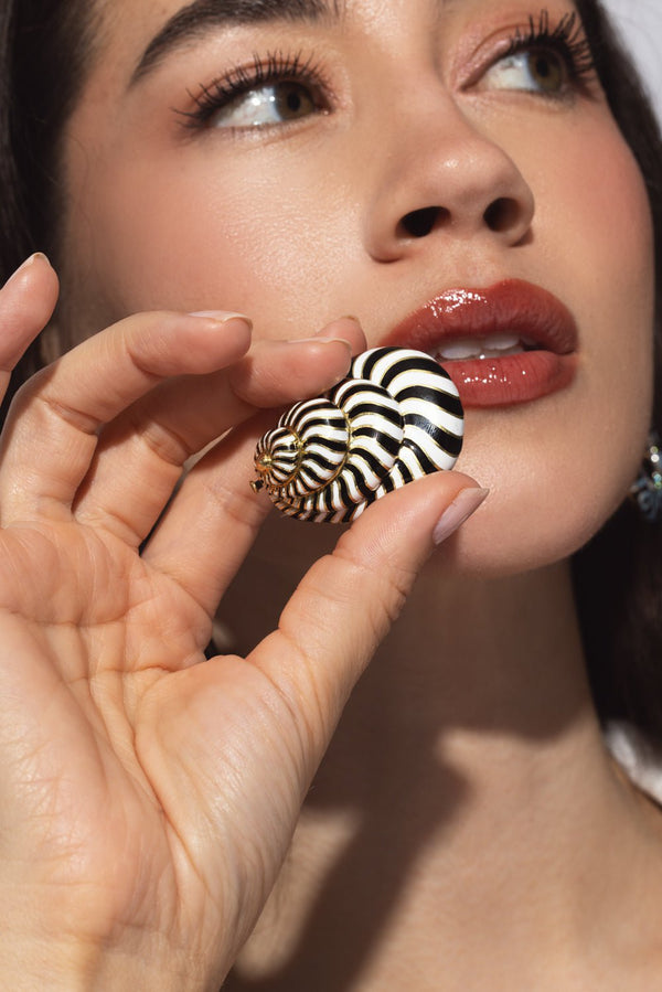 Shell Brooch – Marissa Collections